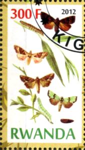 Timbre: Butterflies and Plants (Rwanda: Timbres illégaux(Butterflies ...