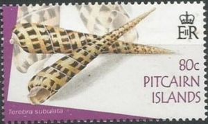 Stamp: Chocolate-spotted Auger (Terebra subulata) (Pitcairn Islands ...