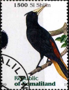 Stamp: Bird (Somaliland: Illegal Stamps(Birds 1999) Col:SD 1999-13