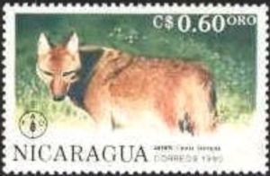 Stamp: Coyote (Canis latrans) (Nicaragua) (FAO, 45th Anniv.: Animals ...