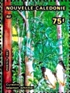 Stamp: Cyrestis telamon whitmei (New Caledonia(Philanippon '91: Plants ...