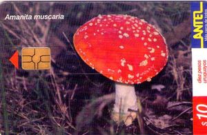 Phonecard: Amanita muscaria (Hongo matamoscas) (Antel, Uruguay) (2001 ...