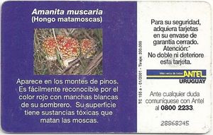Phonecard: Amanita muscaria (Hongo matamoscas) (Antel, Uruguay) (2001 ...