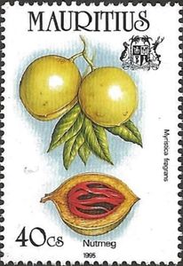 Stamp: Nutmeg (Mauritius(Spices) Mi:MU 790,Sn:MU 799,Yt:MU 828,Sg:MU 916