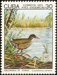 Briefmarke: Zapata Rail (Cyanolimnas cerverai) (Kuba(Einheimische Vögel ...