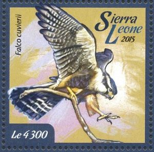 Stamp: African Hobby (Falco cuvierii) (Sierra Leone(Fauna of West ...