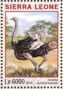 Stamp: Ostrich (Struthio camelus) (Sierra Leone(National Parks - Etosha ...