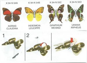Meal Toy: Agrians claudina (Kinder Surprise, Europe(Kinder ...