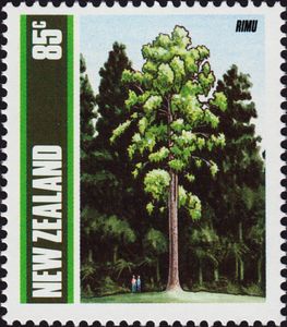 Stamp: Red Pine - Rimu (Dacrydium cupressinum) (New Zealand) (Native ...