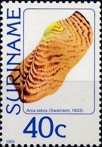 Stamp: Arca zebra (Suriname) (Mussels and Snails) Mi:SR 1071,Sn:SR 669 ...