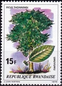 Stamp: Ficus thonningi (Rwanda(African trees and shrubs) Mi:RW 988,Sn ...