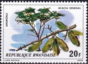 Stamp: Acacia senegal (Rwanda) (African trees and shrubs) Mi:RW 989,Sn ...