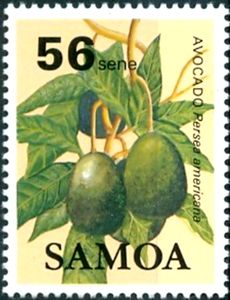 Stamp: Avocado (Persea americana) (Samoa(Fruits) Mi:WS 530,Sn:WS 614,Yt ...