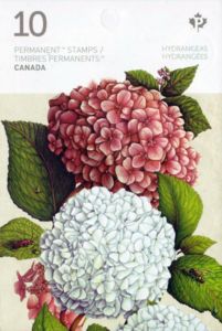 Stamp: Hydrangea - Booklet (Canada(Hydrangeas) Mi:CA MH0-572,Sn:CA ...