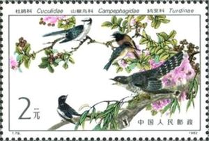 Stamp: Lesser Cuckoo (Cuculus poliocephalus) (China, People's Republic ...