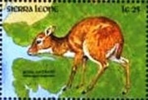 Stamp: Royal Antelope (Neotragus pygmaeus) (Sierra Leone(Wild Animals ...