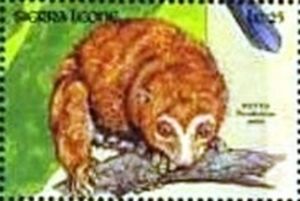 Stamp: West African Potto (Perodicticus potto) (Sierra Leone(Wild ...