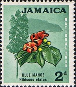Stamp: National Tree - Blue Mahoe (Hibiscus elatus) (Jamaica ...