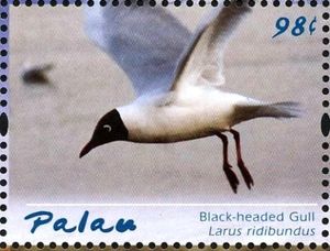 Stamp: Black-headed Gull (Larus ridibundus) (Palau(Seabirds) Mi:PW 3093 ...