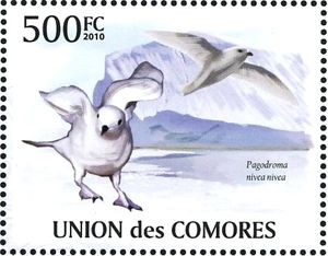 Stamp: Snow Petrel (Pagodroma nivea) (Comoros) (Antarctic Fauna (2009 ...