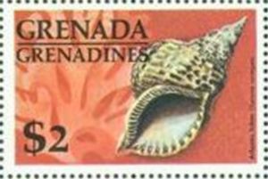 Stamp: Atlantic Triton (Charonia variegata) (Grenada Grenadines(Shells ...