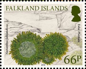 Stamp: False plantain (Falkland Islands(Endemic flora) Mi:FK 1320,Sn:FK ...