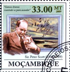 Stamp: 100th Birthday of Sir Peter Scott (1909-1988) (Mozambique(Sir ...