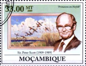 Stamp: 100th Birthday of Sir Peter Scott (1909-1988) (Mozambique(Sir ...