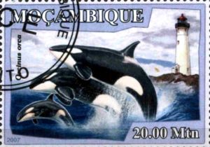 Stamp: Orcinus orca (Mozambique) (Whales (2007)) Mi:MZ 3054,Sn:MZ 1771e ...