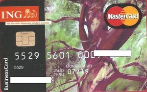Bank Card: Business Card (ING Bank Śląski SA, PolandCol:PL-MC-0212.01
