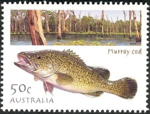 Stamp: Murray Cod (Maccullochella peelii) (Australia(Angling in ...