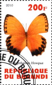 Stamp: Stichopthalma Howqua (Burundi: Illegal Stamps(Butterflies (2010 ...