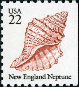 Stamp: New England Neptune (Neptunea lyrata) (United States of America ...