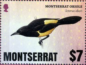 Stamp: Montserrat Oriole (Icterus oberi) (Montserrat) (Birds of ...