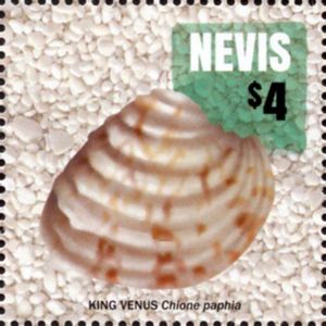 Stamp: King Venus (Chione paphia) (Nevis) (Caribbean Seashells) Mi:KN-N ...