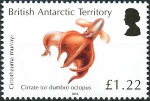Stamp: Cirrate Octopus (Cirrothauma murrayi) (British Antarctic ...