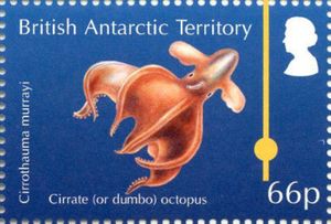 Stamp: Cirrate Octopus (Cirrothauma murrayi) (British Antarctic ...