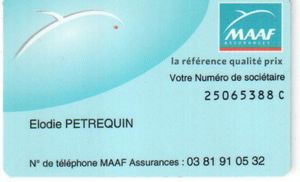 Functional Card: MAAF Assurances. MAAF Assistance (Insurance, France ...