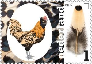 Stamp: The Dutch Owlbeard (Netherlands(Dutch Chicken Breeds) Mi:NL ...