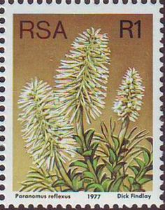 Stamp: Paranomus reflexus (South Africa(Sugarbushes) Mi:ZA 527C,Sn:ZA ...
