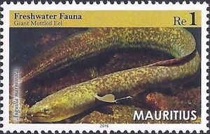 Stamp: Giant Mottled Eel (Anguilla marmorata) (Mauritius(Freshwater ...