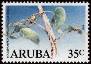 Stamp: Maripampun - Leaves (Aruba) (Maripampun) Mi:AW 57,Sn:AW 43,Yt:AW ...
