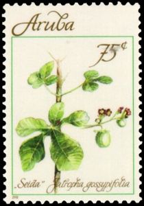 Timbre: Seida (Jatropha gossypifolia) (Aruba(Plants) Mi:AW 93,Sn:AW 71 ...