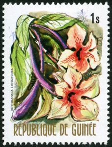 Stamp: Rothmannia longiflora (Guinea) (Native flowers) Mi:GN 689A,Sn:GN ...
