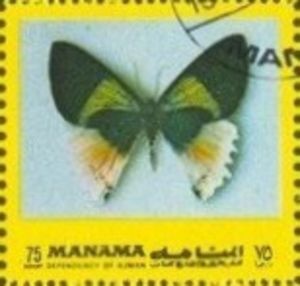 Stamp: Moth (Alcides aurora) (Manama(Butterflies, yellow frame (1972:3 ...