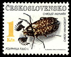 Stamp: Pine Chafer (Polyphylla fullo) (Czechoslovakia(Beetles) Mi:CS ...