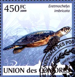 Stamp: Hawksbill Turtle (Eretmochelys imbricata) (Comoros) (Turtles ...