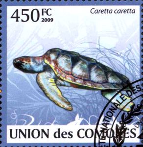 Stamp: Loggerhead Sea Turtle (Caretta caretta) (Comoros) (Turtles (2009 ...