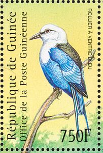 Stamp: Blue-bellied Roller (Coracias cyanogaster) (Guinea(Birds - Phila ...