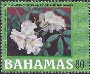 Stamp: Five fingers (Bahamas) (Bush Medicine Plants) Mi:BS 1044,Sn:BS ...